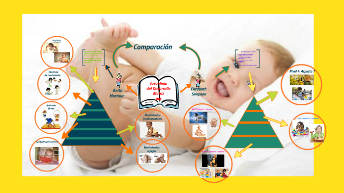 Taxonomia del Desarrollo Motriz segun Anita Harrow y Elizabeth Simpson ...
