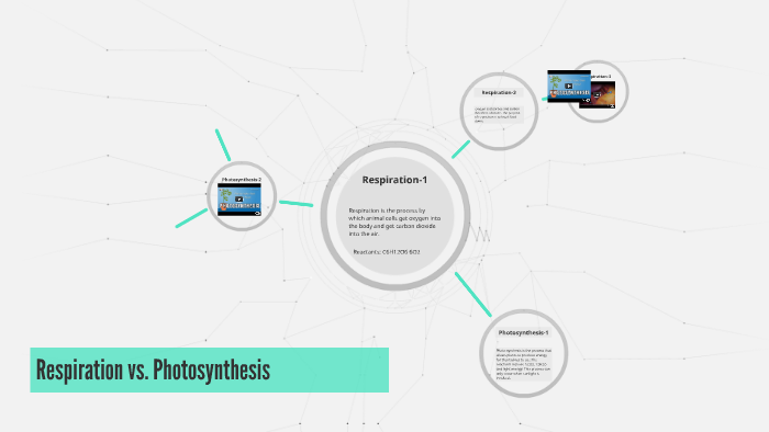 Respiration VS Photosynthesis by Thomas Klenk