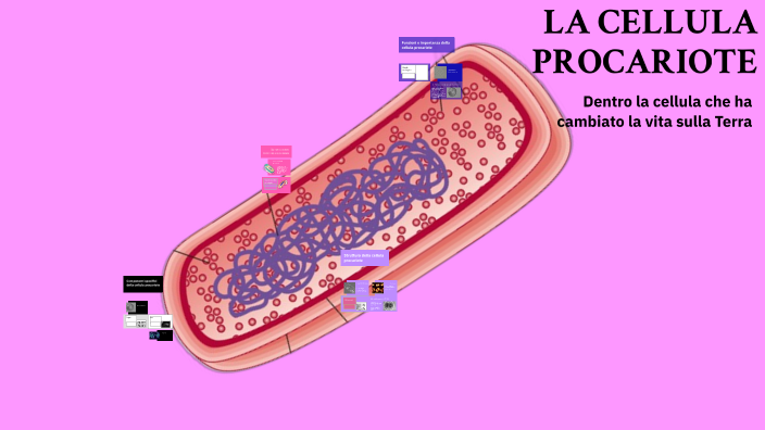 LA CELLULA PROCARIOTE by ema arc on Prezi