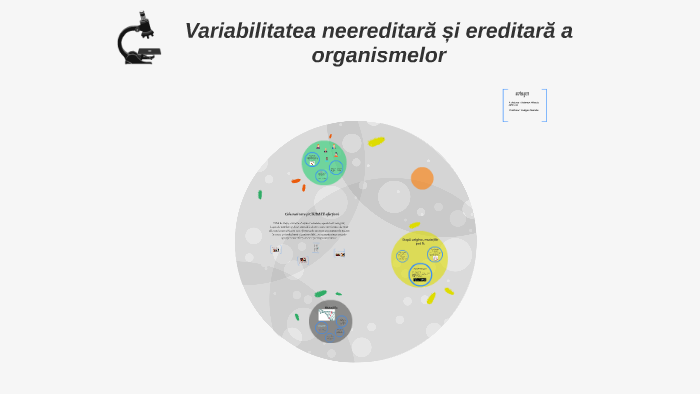 Variabilitatea neereditară și ereditară a organismelor by Mihaela ...