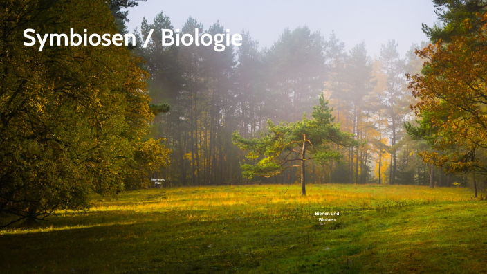 GFS-Symbiosen by Simon Thoma on Prezi