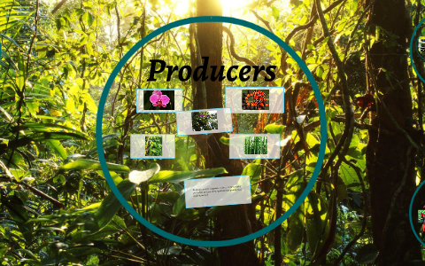 Producers by Decorean Burney on Prezi