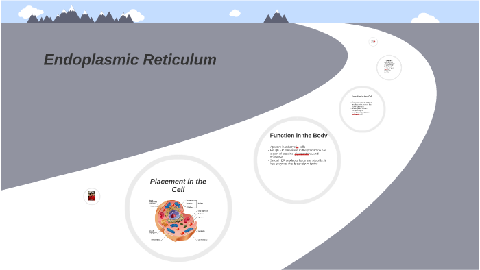 Endoplasmic reticulum 2nd Hour by Hannah Collins on Prezi