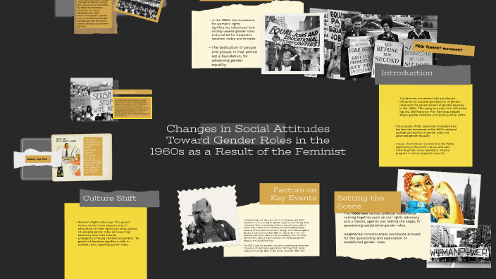 Changes in Social Attitudes Toward Gender Roles in the 1960s as a ...