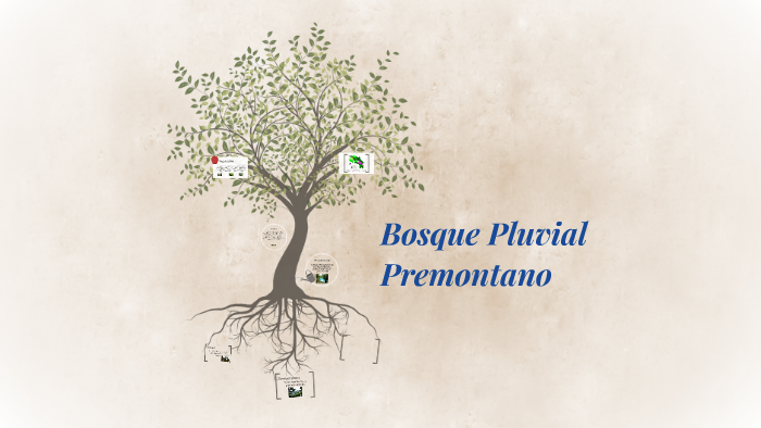 Bosque Pluvial Premontano by Hector Ariel Escoto Machado on Prezi