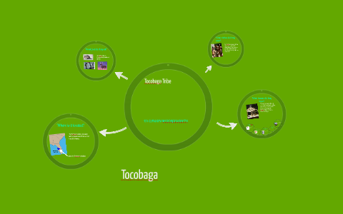 Tocobaga by Carson Middlesworth on Prezi