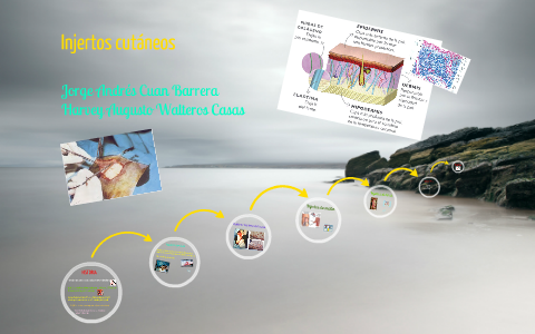 Injertos cutaneos by jorge cuan on Prezi