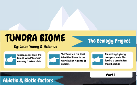 Tundra Biome Project by Jason Yeung on Prezi
