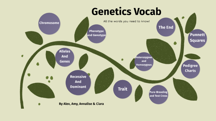 Genetics Vocab by Ross Ciara on Prezi