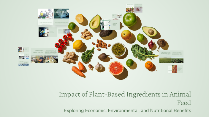 Impact of Plant-Based Ingredients in Animal Feed by chaker amara on Prezi