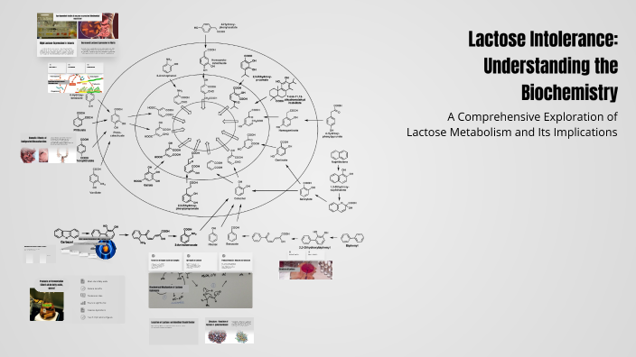 Lactose Intolerance: Understanding the Biochemistry by Gabriel Semaan ...