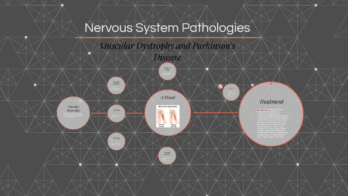 Nervous System Pathologies by Christy Nguyen on Prezi