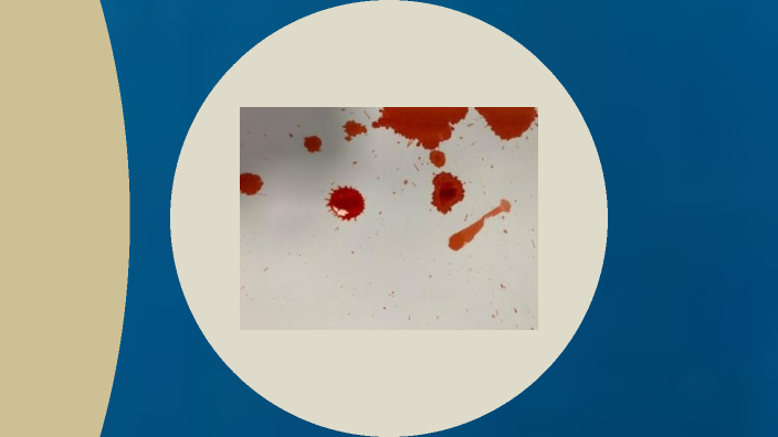 Blood Spatter Project by Xanden Foster on Prezi
