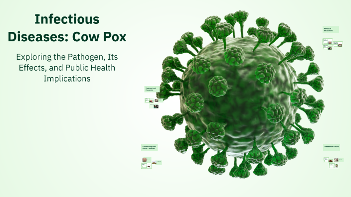 Infectious Diseases: Cow Pox by Vraj Jadav on Prezi