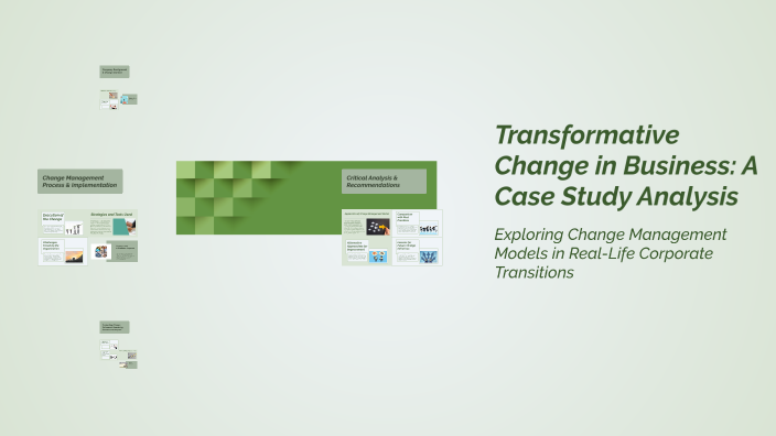 Transformative Change in Business: A Case Study Analysis by zayn jr on ...