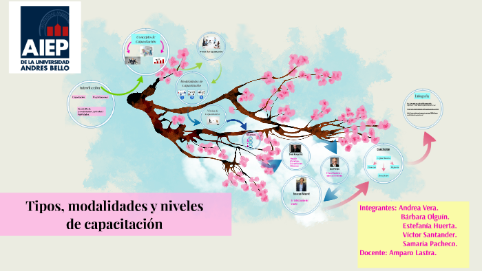 Tipos, modalidades y niveles by estefania huerta on Prezi