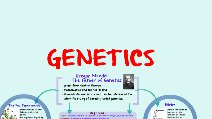 Genetics for Flipped Classroom by on Prezi