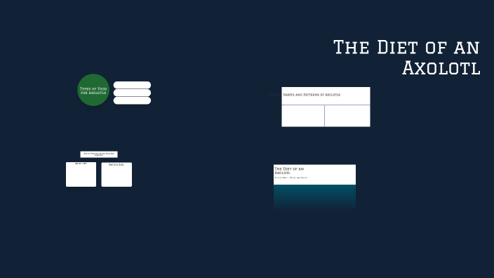 The Diet of an Axolotl by Jack Streich on Prezi