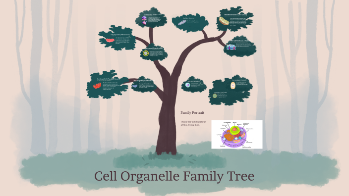 Cell Family Photo Album by Aiden Tate by Aiden Tate on Prezi
