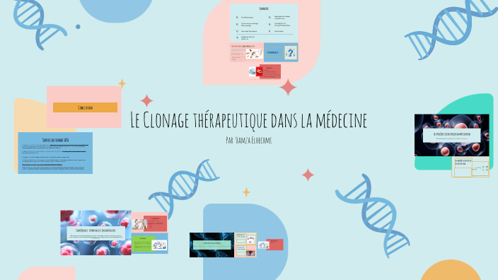 Therapeutic Cloning in Medicine by HAMZA ELHECHMI on Prezi