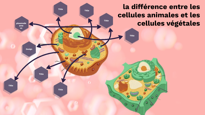 cellules by DANIEL QU on Prezi