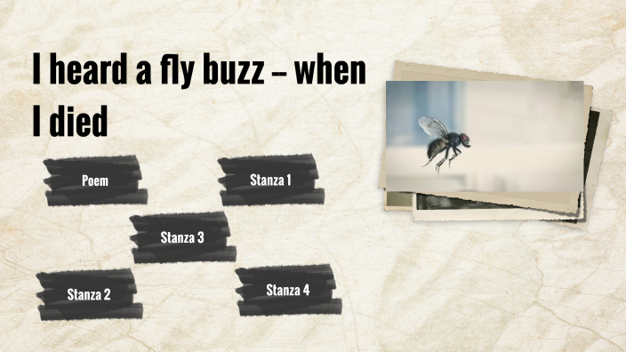 I heard a fly buzz poem by Tripper Engle on Prezi