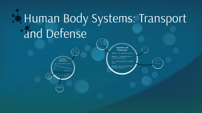 Human Body Systems: Transport and Defense by Coach Bobe on Prezi