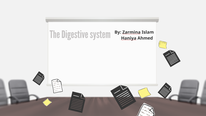The Digestive System by zarmina islam on Prezi
