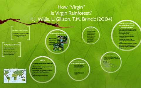 Amazon rainforest - Gareth Mann by Gareth Mann