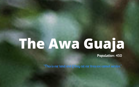 The Awá Tribe by Ben Killeen on Prezi