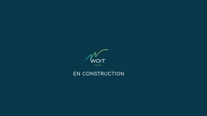 Organigramme Woit Group by Axel Marsac on Prezi