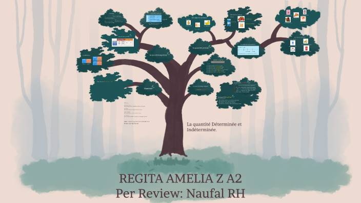 Regita Amelia Z A2 La déterminée et indéterminée by REGITA AMELIA on Prezi