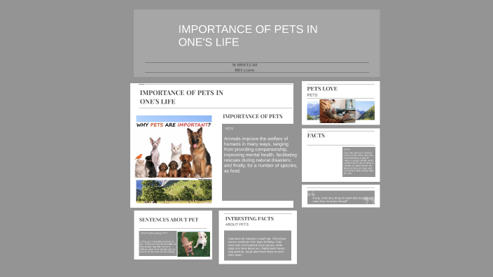 Importance of pets in one's life by muhammad abdullah on Prezi