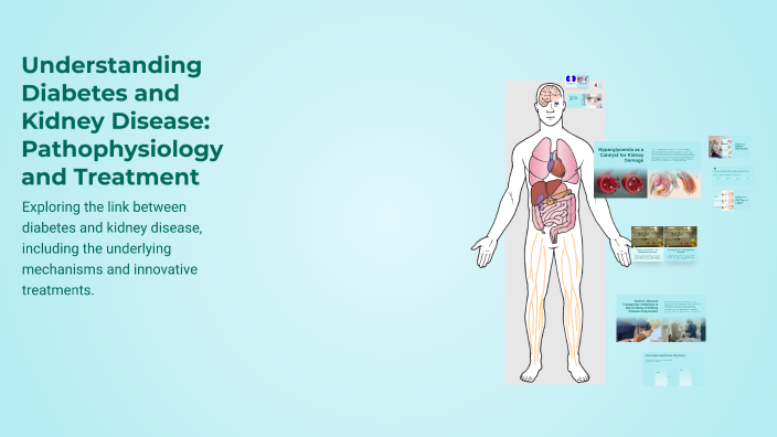Understanding Diabetes and Kidney Disease: Pathophysiology and ...