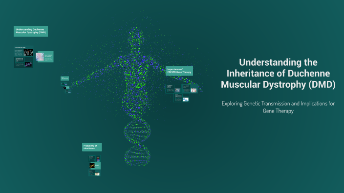 Understanding the Inheritance of Duchenne Muscular Dystrophy (DMD) by ...