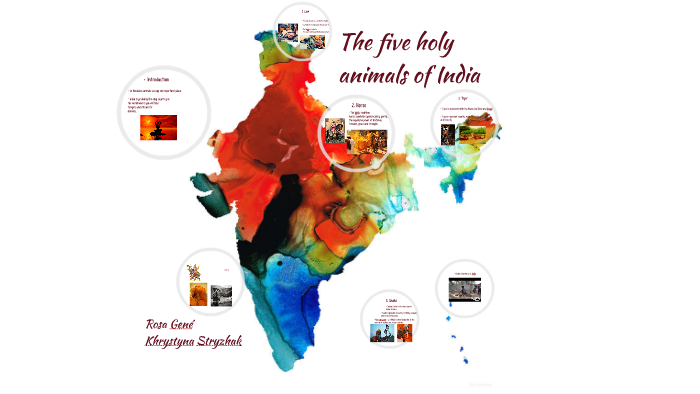 5 Holy Animals of India by Khrystyna Stryzhak on Prezi