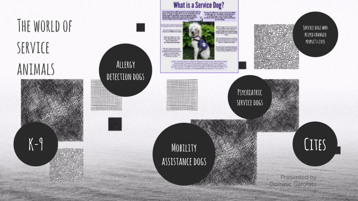 The world of service animals by Dominic Garofalo on Prezi