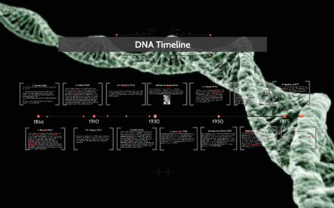 DNA Timeline by Drayton Heh on Prezi