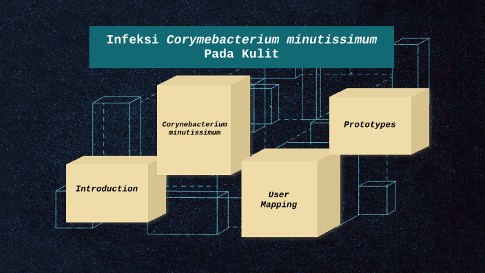 Infeksi Corynebacterium minutissimum Pada Kulit by Marni Pabisa on Prezi