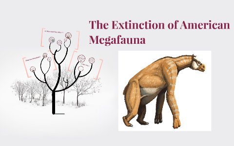 The Extinction of American Megafauna by M W on Prezi
