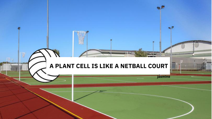 SCIENCE - NETBALL COURT (cell model) by jasmine uebergang on Prezi