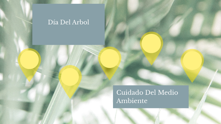 Dia del arbol y cuidado del medio ambiente by Lidia Romero on Prezi