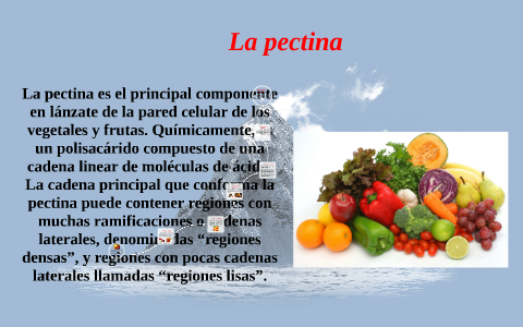 La pectina by wendy prieto on Prezi