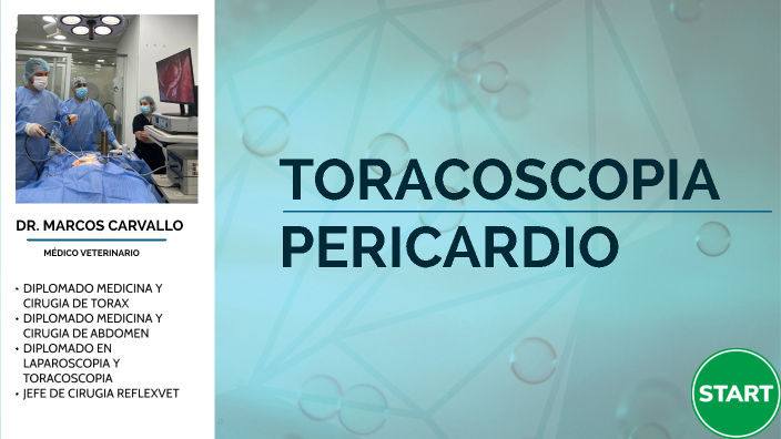 TORACOSCOPIA PERICARDIO by Veterinaria ReflexVet on Prezi