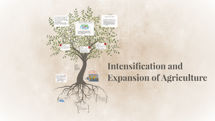 Intensification and Expansion of Agriculture by Tom, Matthew and Lauren ...