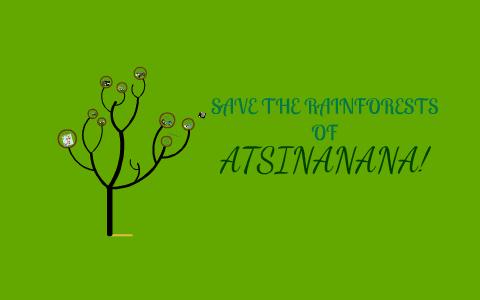 Rainforests of Atsinanana by Mathew Tam on Prezi