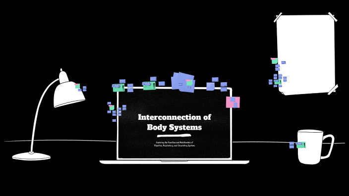 Interconnection of Body Systems by Raquel Salgado on Prezi