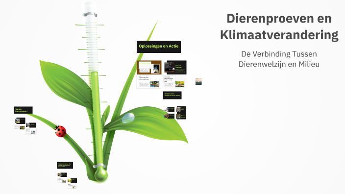 Dierenproeven en Klimaatverandering by Jill Den Heijer on Prezi