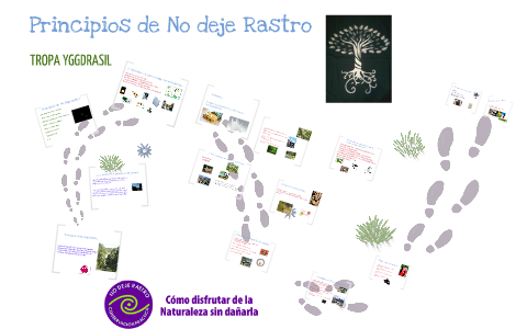 Principios de No Deje Rastro by Roberto Reinal on Prezi