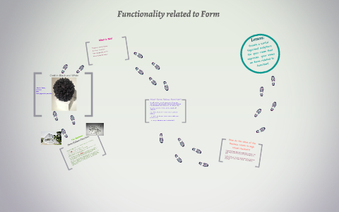 Form Fallows Function by hayleigh enslow on Prezi